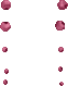 star - Item - Everskies