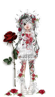 Profile - Stardust_Cookie - Everskies