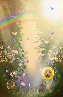 mag tip naman kayo - Filipino ppl only - Everskies